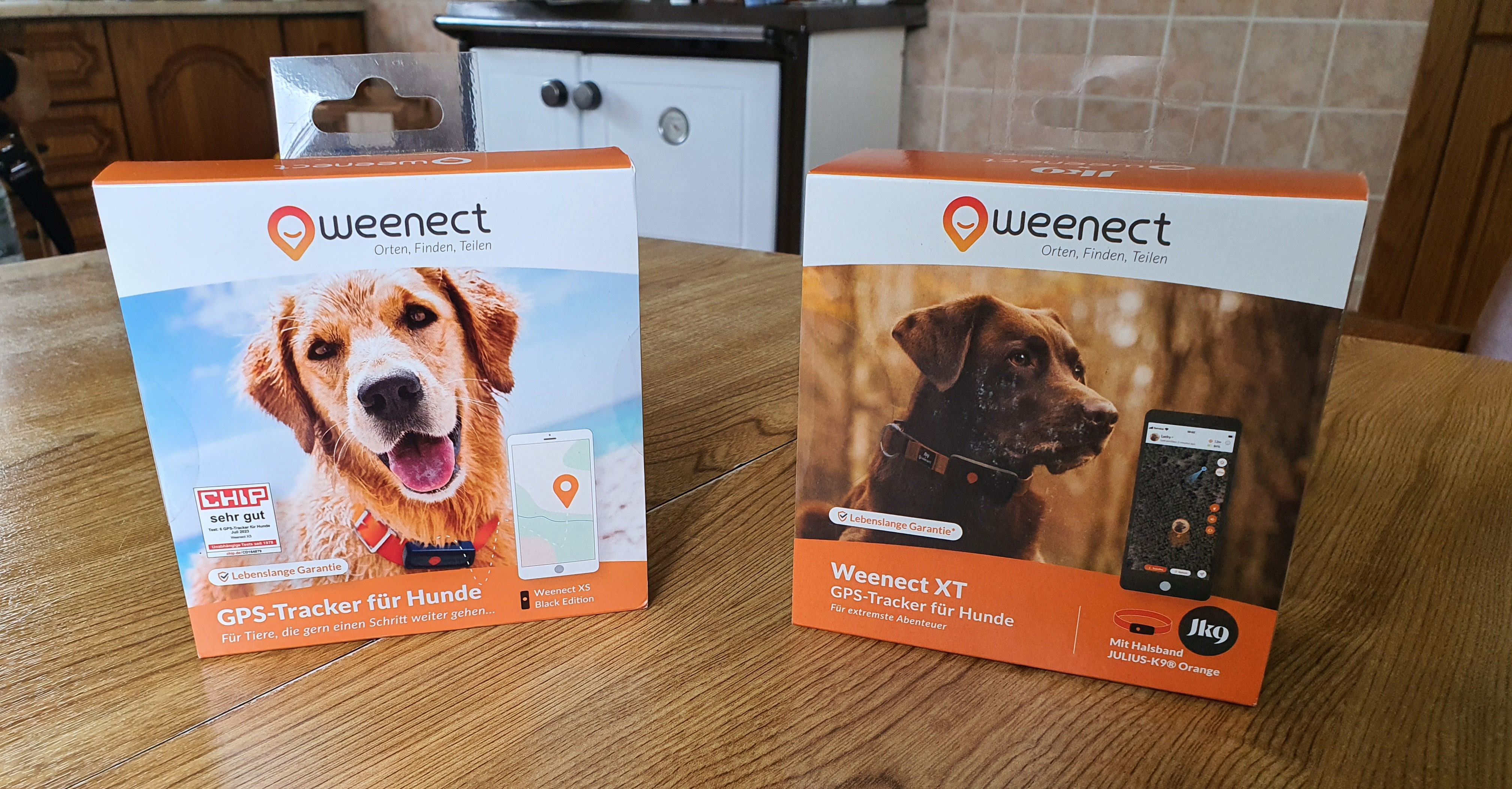 Обзор Weenect XS и XT: GPS-трекеры помогут отследить любимцев на любом ...